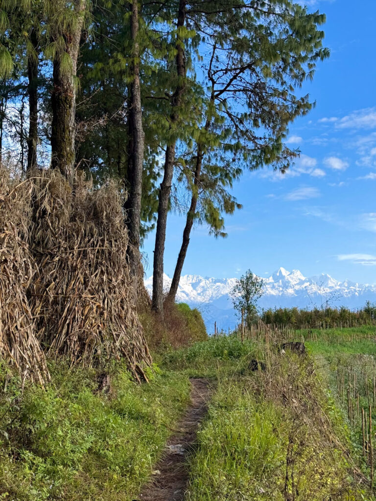 Jarsing Pauwa: The Ultimate Weekend Escape Guide from Kathmandu